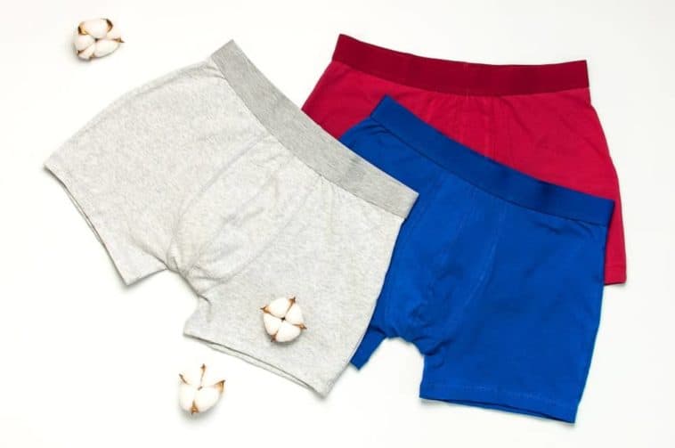 8 Different Types of Men’s Underwear (2022) – Threadcurve