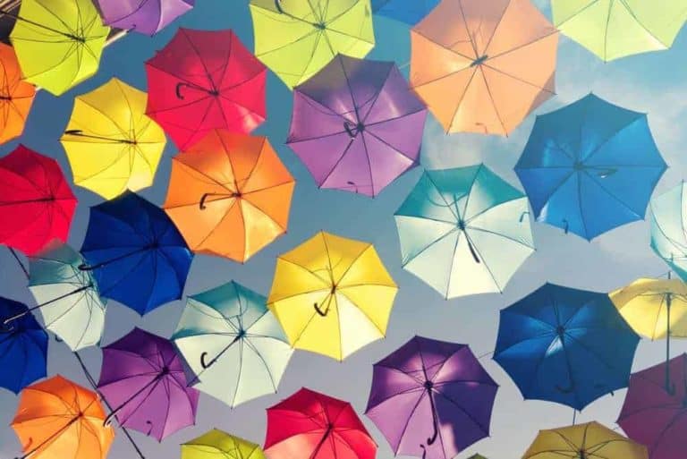13 Different Types of Umbrellas