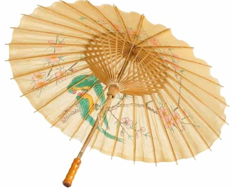 13 Different Types of Umbrellas