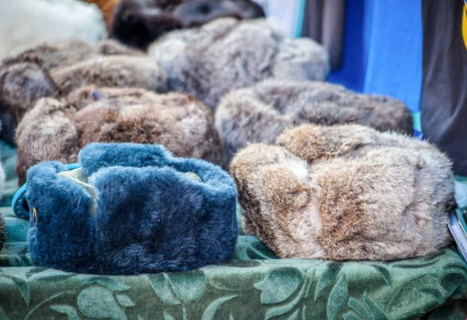 What is an Ushanka Hat? - Threadcurve