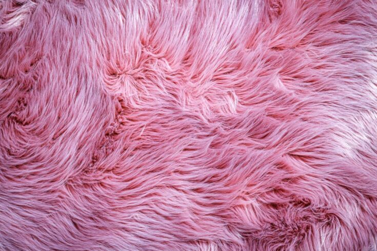 6 Different Types of Faux Fur Coats – Threadcurve