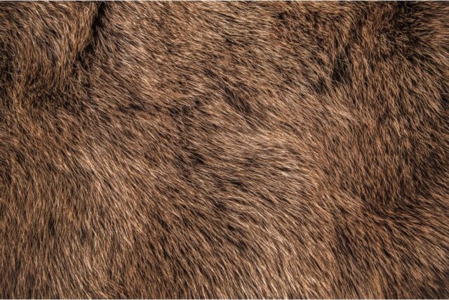 6 Different Types of Faux Fur Coats
